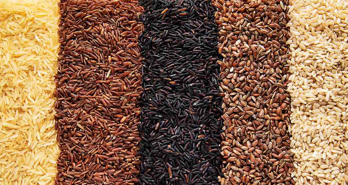 Clases de Arroz: características y diferencias | La Fallera