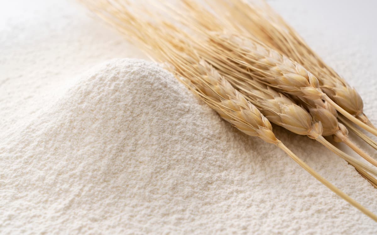 Secretos y recetas para cocinar con trigo | La Fallera