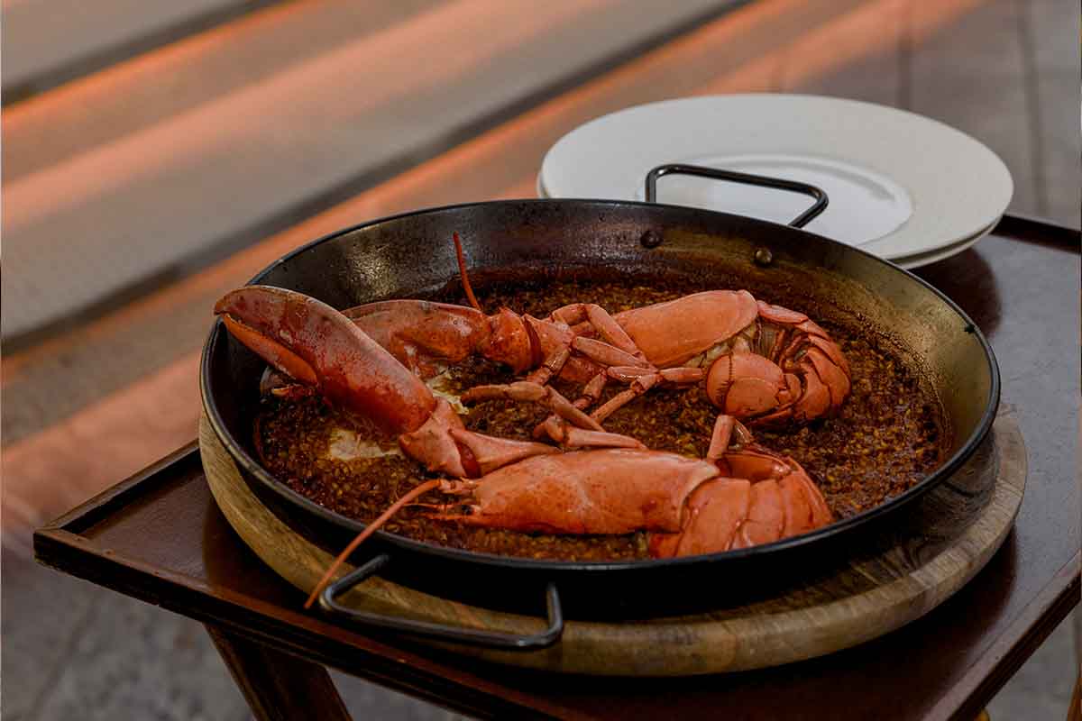Comidas gourmet: descubre el mundo de la alta cocina | La Fallera