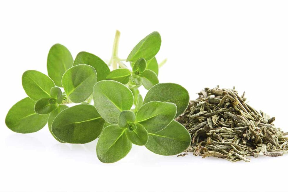 Tomillo propiedades: beneficios para la salud y usos | La Fallera