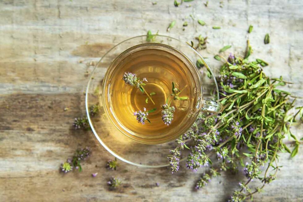 Tomillo propiedades: beneficios para la salud y usos | La Fallera