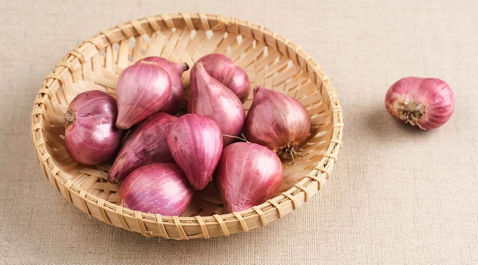 Tipos De Cebolla: Variedades Y Usos Comunes | La Fallera